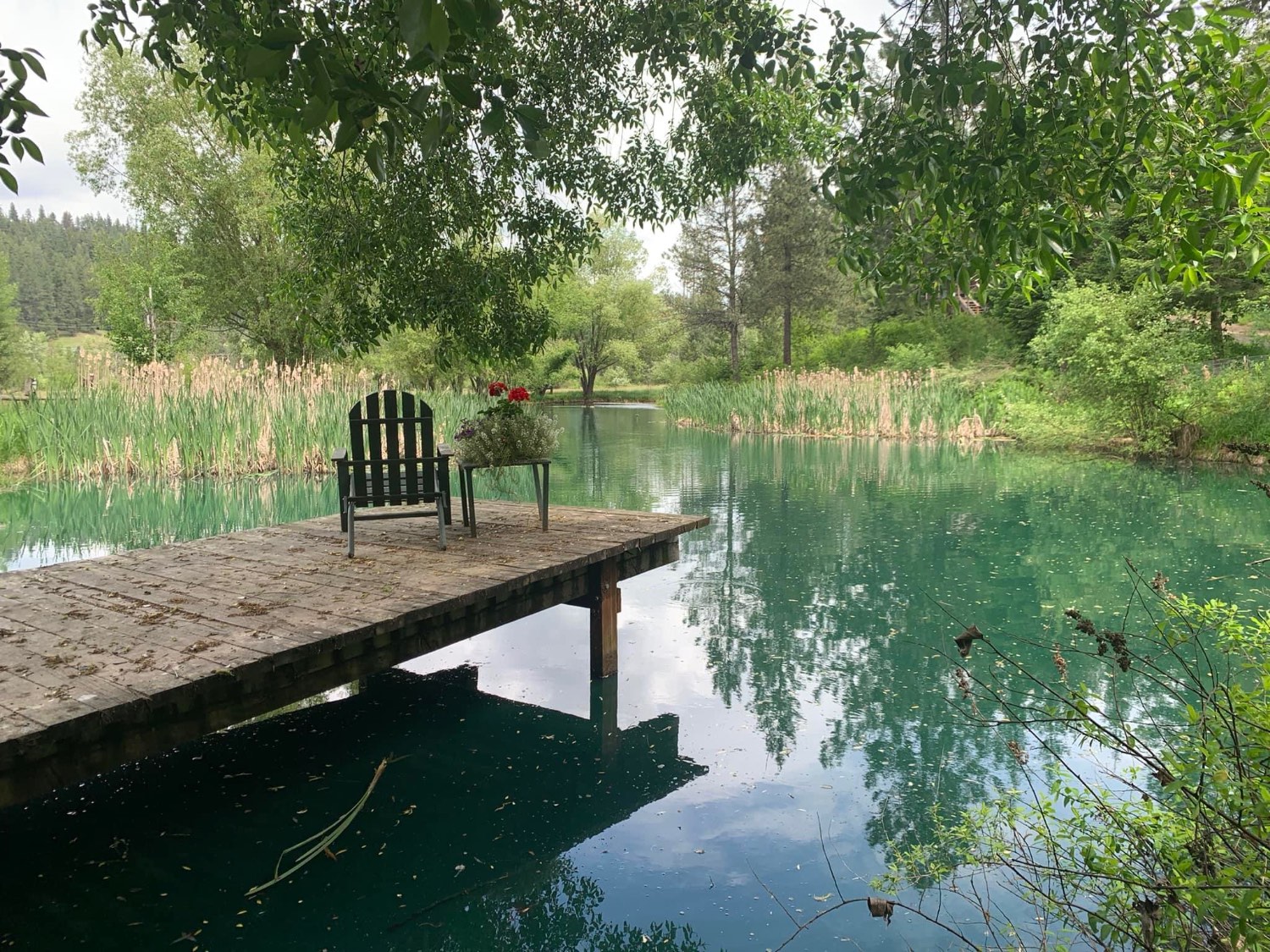 Solve Peace jigsaw puzzle online with 70 pieces