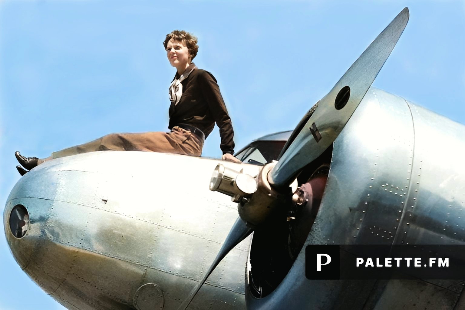 Solve Amelia Earhart jigsaw puzzle online with 117 pieces