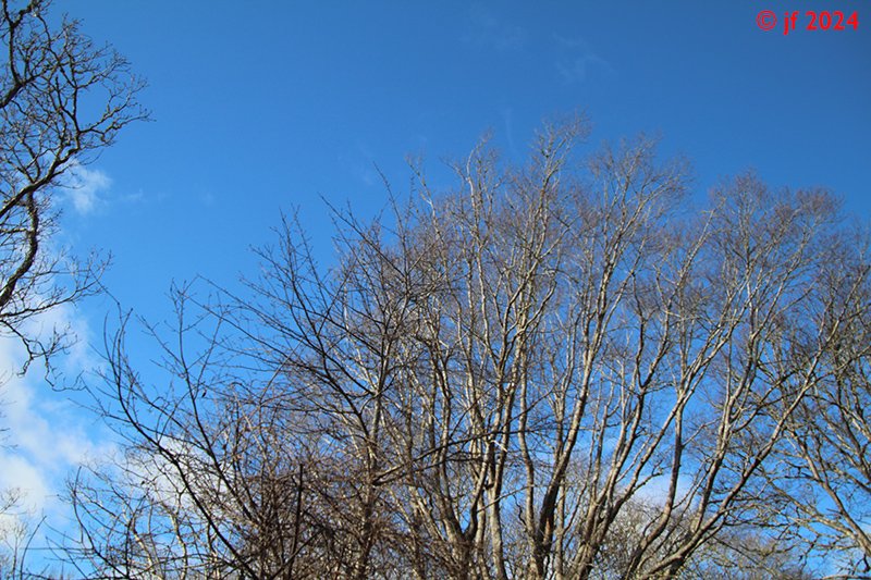 Solve Blue Sky Yesterday jigsaw puzzle online with 35 pieces