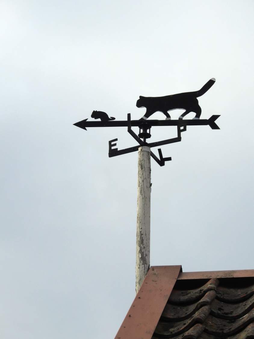 Solve Weather vane jigsaw puzzle online with 63 pieces