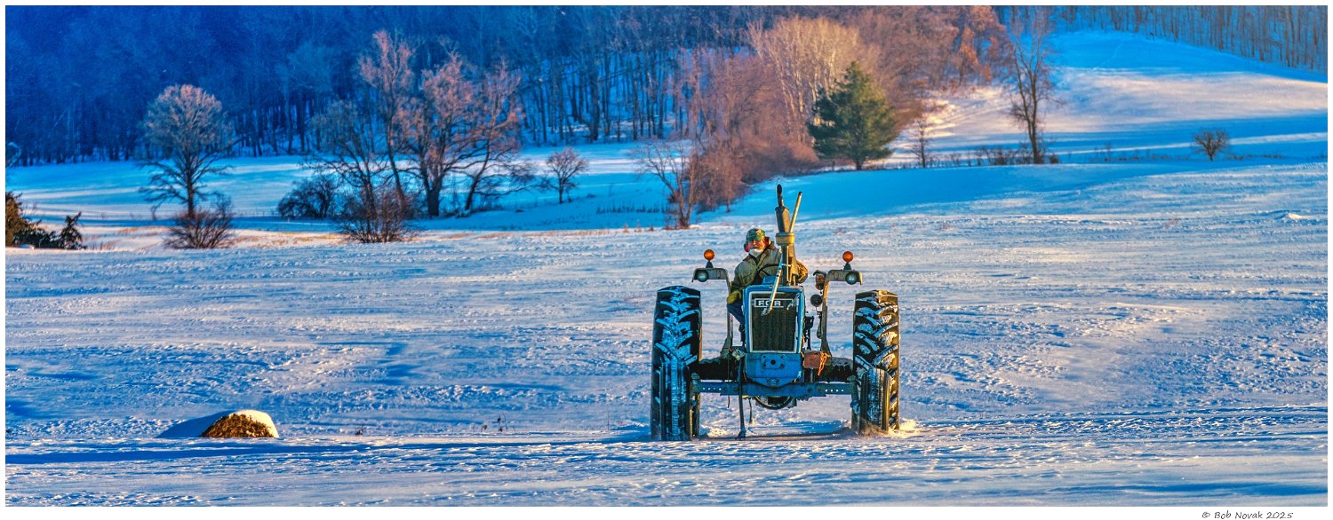 Solve DSC05330-Edit Wide jigsaw puzzle online with 12 pieces