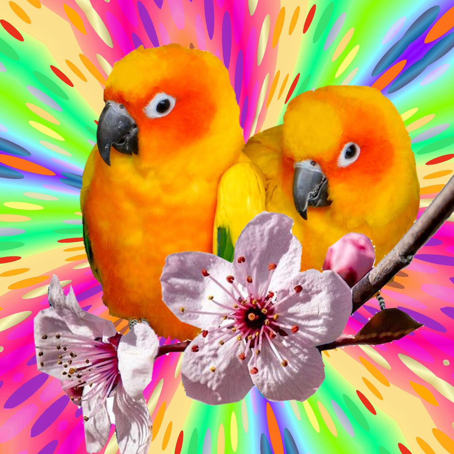 Solve 2 LOVEBIRDS jigsaw puzzle online with 225 pieces