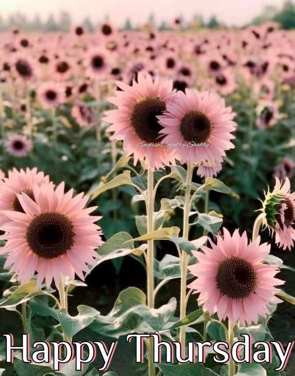 Solve Good Morning - Happy Thursday! jigsaw puzzle online with 63 pieces