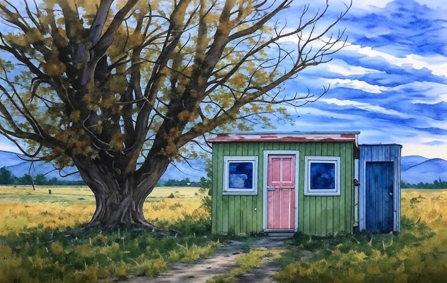 Solve Old fishing hut MacKenzie Country NZ jigsaw puzzle online with ...