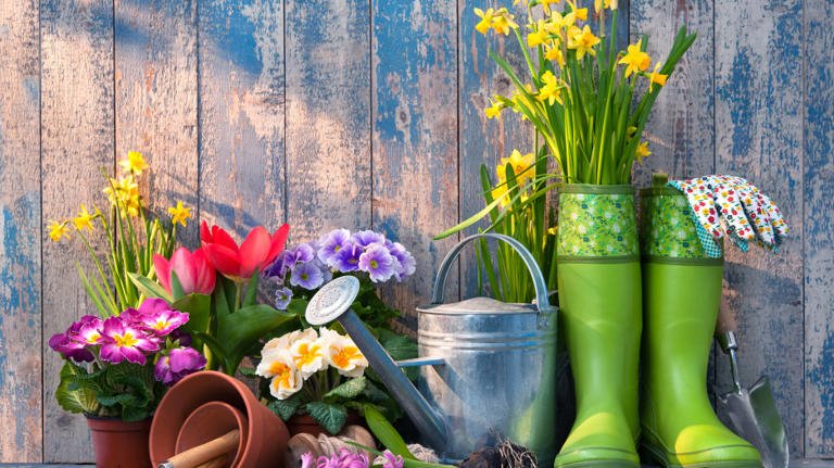 Solve rudé tulipány jigsaw puzzle online with 32 pieces
