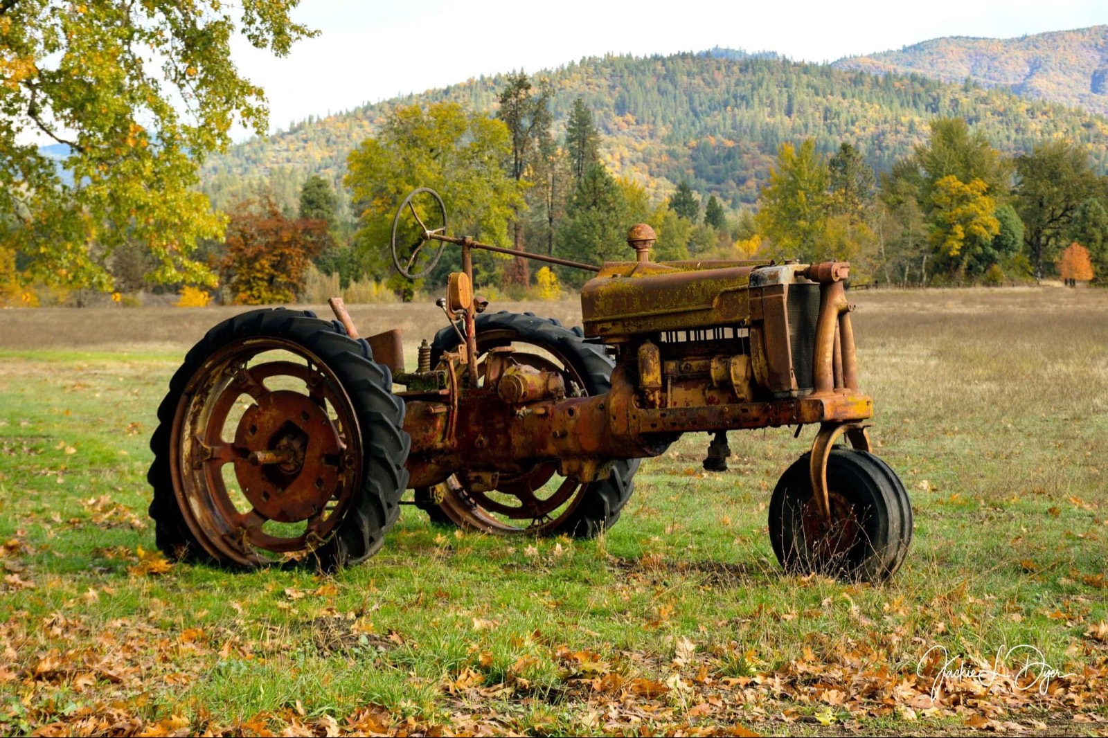 Solve Oregon jigsaw puzzle online with 216 pieces