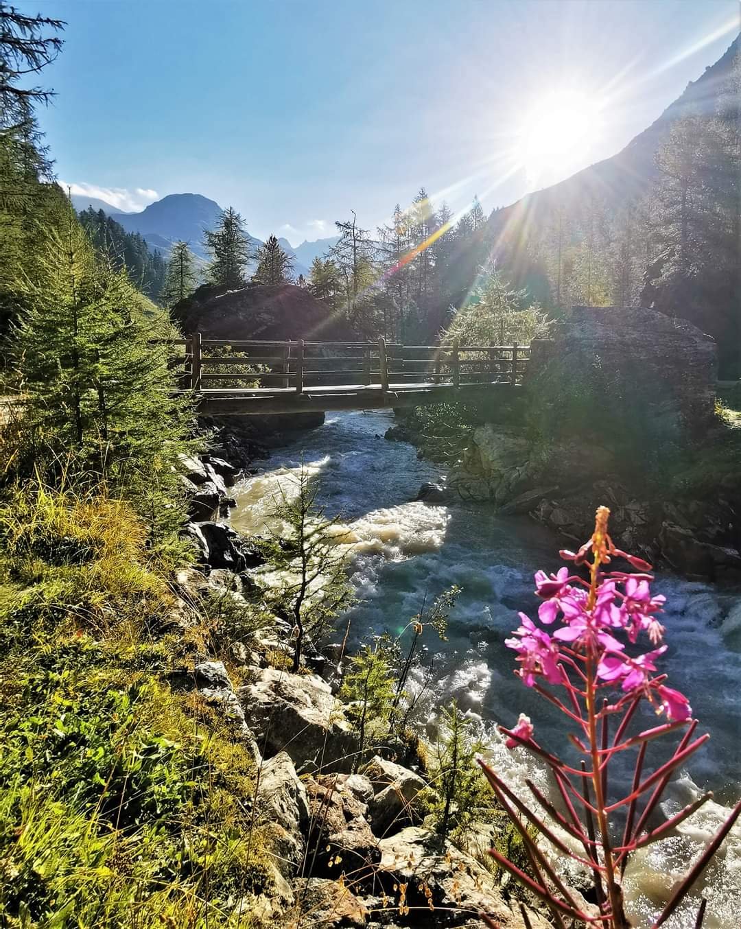 Solve bridge over trouble water jigsaw puzzle online with 285 pieces