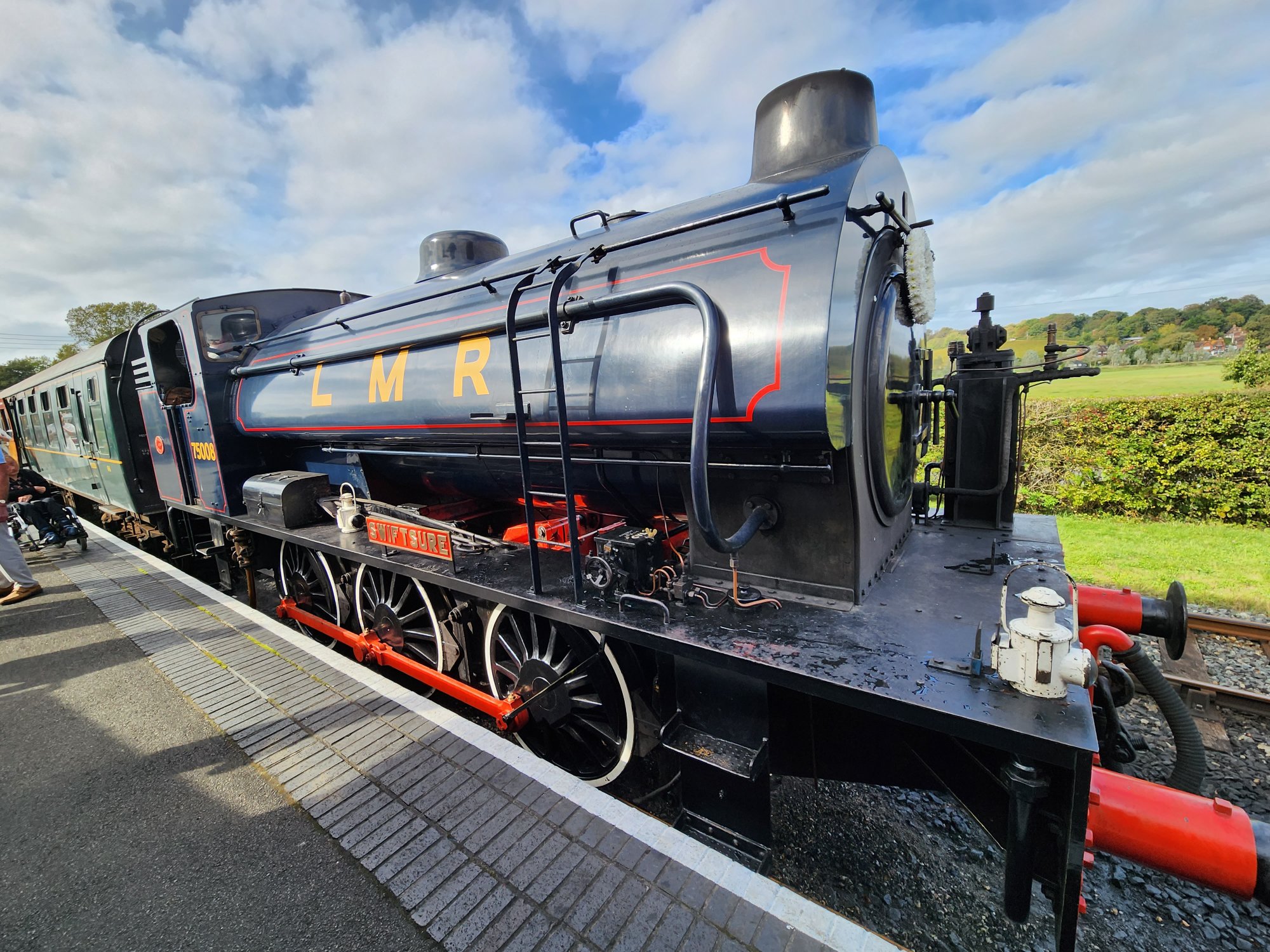 Solve Swift Sure. jigsaw puzzle online with 300 pieces