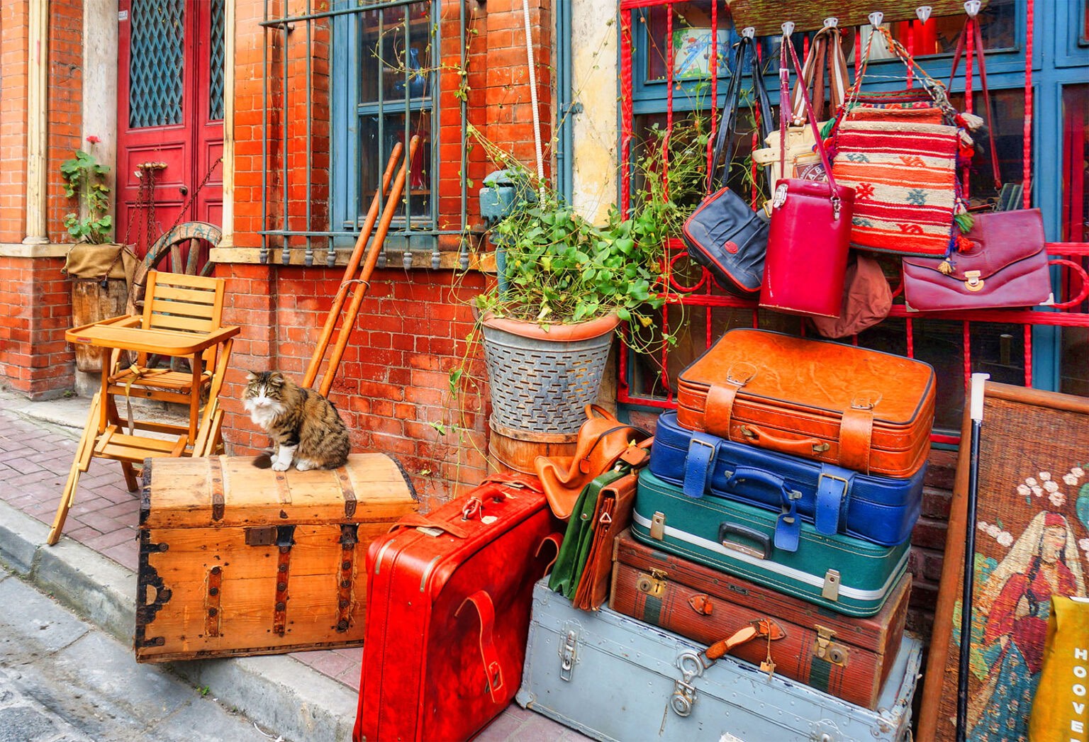 Solve Guess the cat's coming along. jigsaw puzzle online with 330 pieces