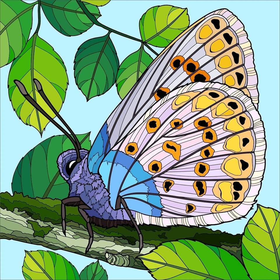 Solve 1 jigsaw puzzle online with 25 pieces