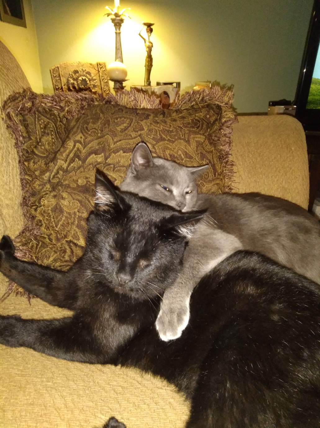 Solve Spot & Handsome jigsaw puzzle online with 99 pieces