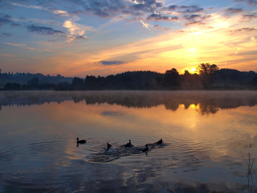 Solve Reflection jigsaw puzzle online with 63 pieces