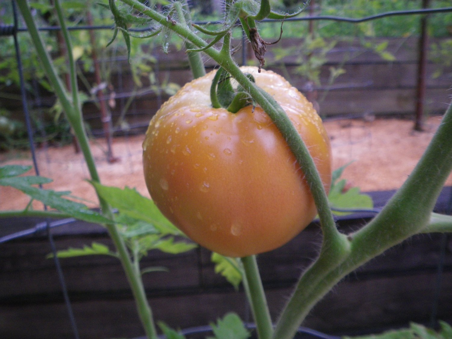 Solve Almost ready jigsaw puzzle online with 30 pieces