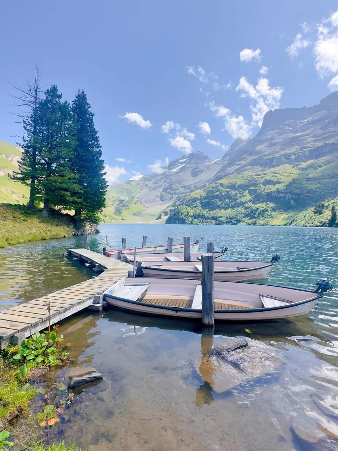 Solve Švýcarský zápisník - Swiss Diary 🇨🇭 jigsaw puzzle online with 63 ...