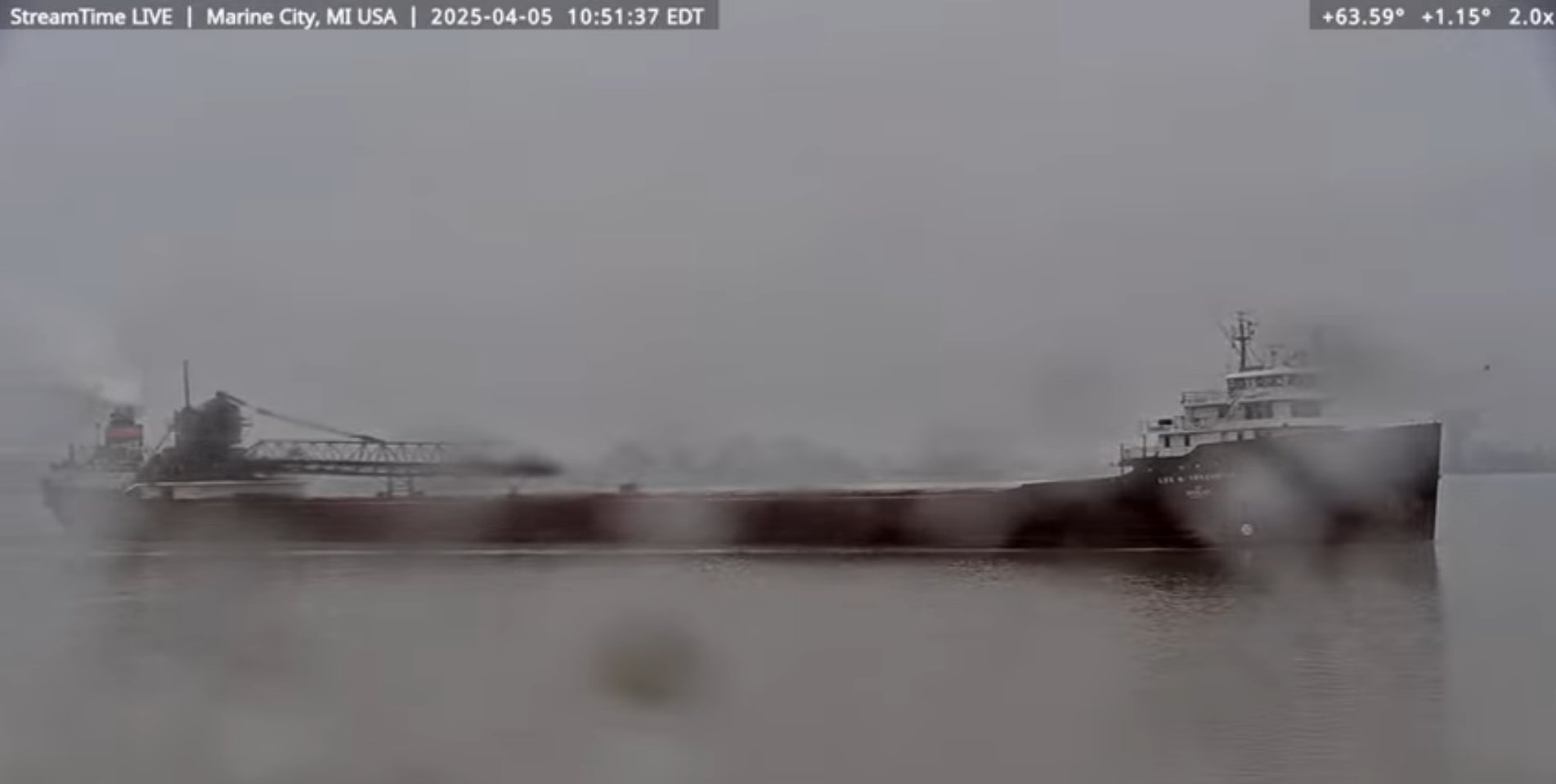 Solve Dodging Raindrops (4/5/2025) jigsaw puzzle online with 66 pieces