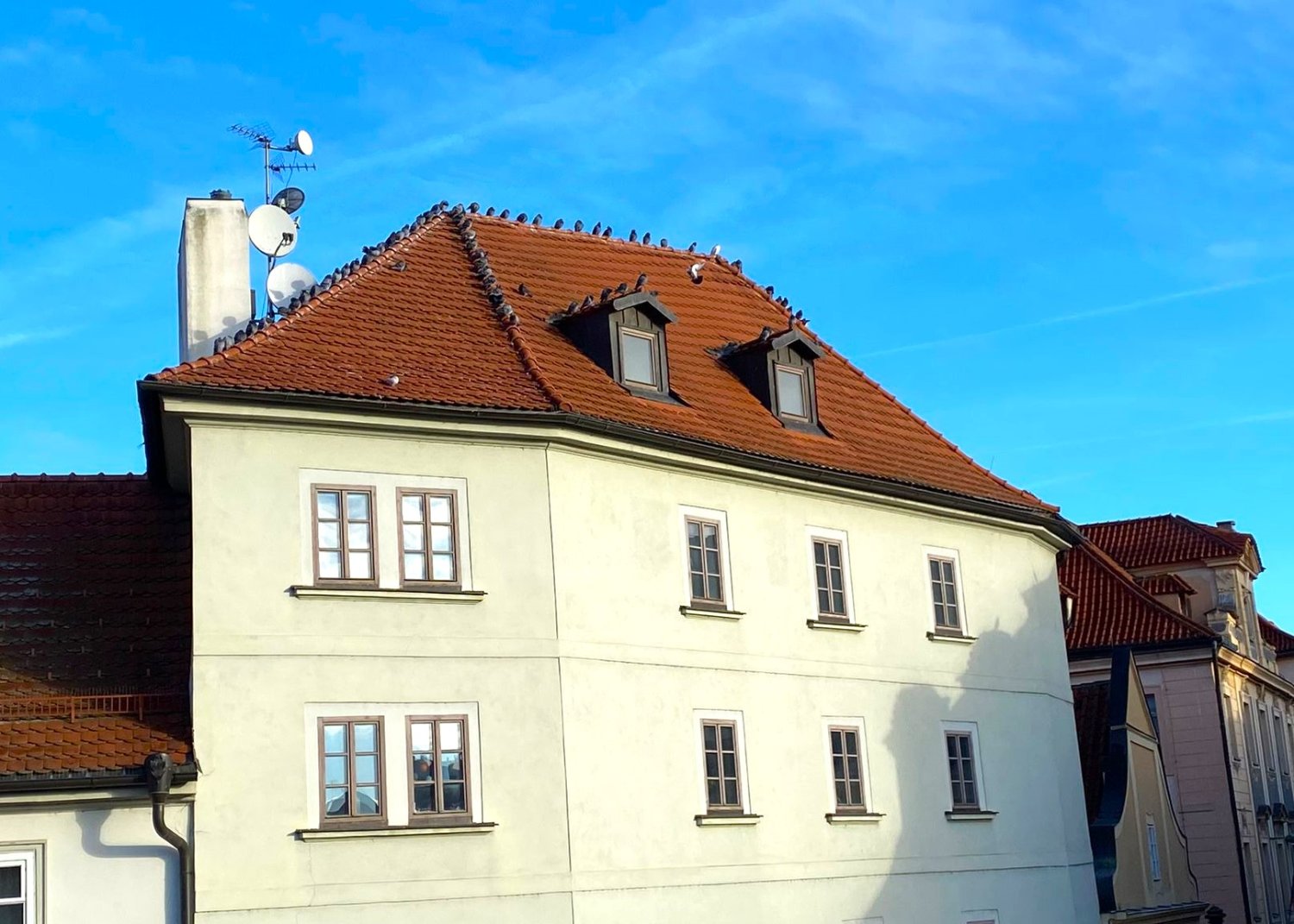 Solve Holubí dům 🕊️ Dovecote jigsaw puzzle online with 12 pieces