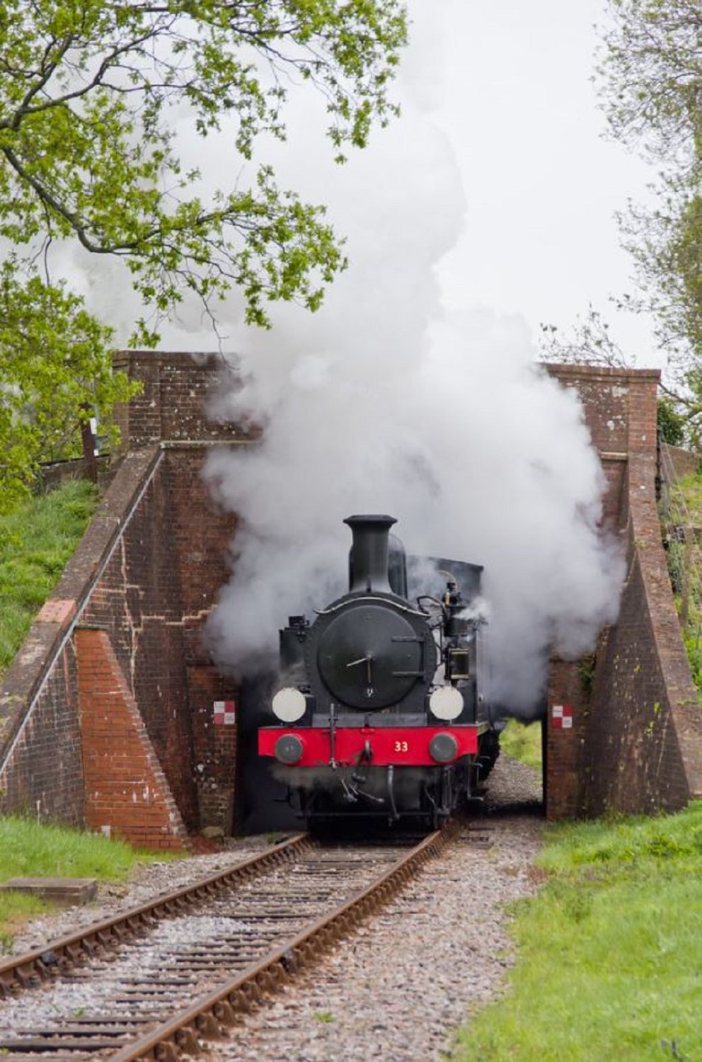 Solve LSWR O2 Class 0-4-4T W33 Bembridge. jigsaw puzzle online with 54 ...