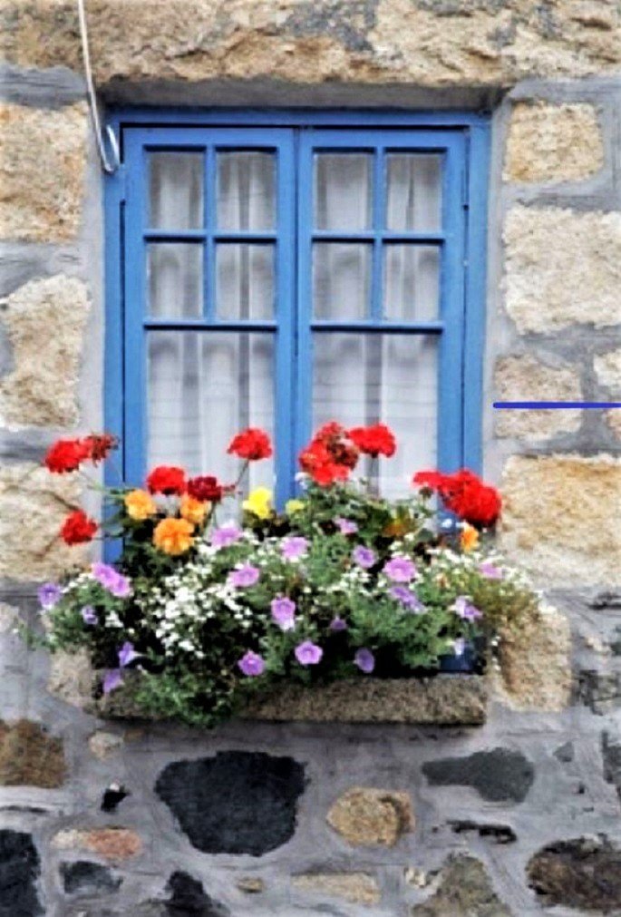 Jigsaw Puzzle | "TLC on Display" | 70 pieces | Jigidi