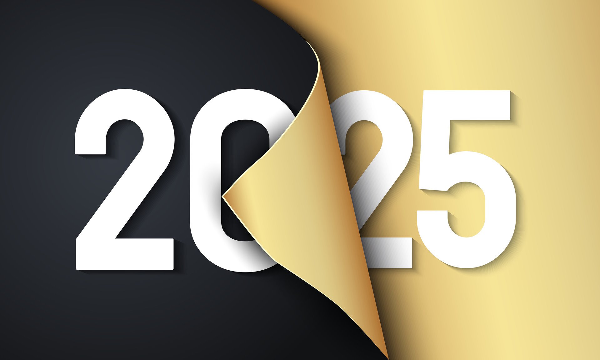 Solve 485-HNY25.b ~ 🎆 HAPPY NEW YEAR 2025! 🎆 jigsaw puzzle online with 400 pieces