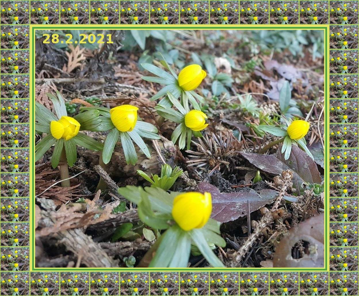 Solve Jaro? / Spring? jigsaw puzzle online with 63 pieces