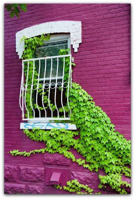 Solve BEAUTIFUL WINDOW jigsaw puzzle online with 70 pieces