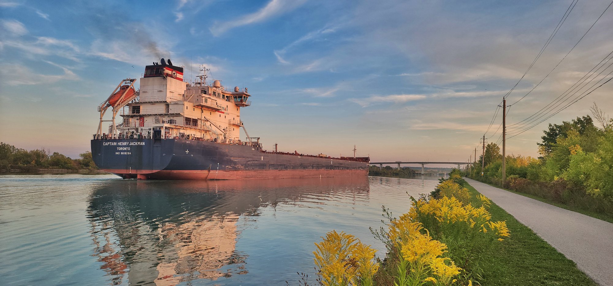 Solve Captain Henry Jackman jigsaw puzzle online with 112 pieces