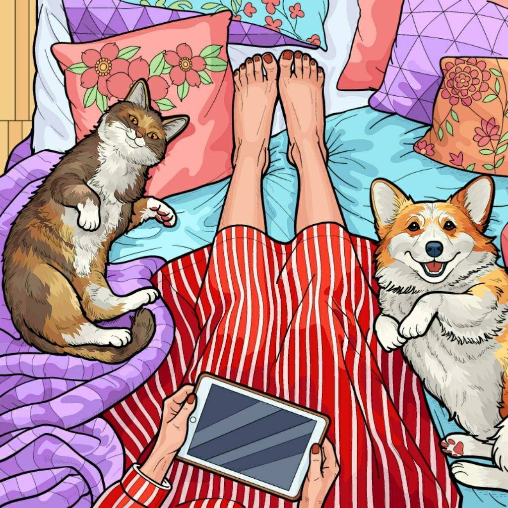 Solve 62b Paint by Number - Color Rocks jigsaw puzzle online with 64 pieces