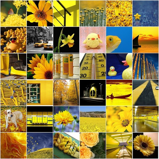 Solve Bright Yellow Themes jigsaw puzzle online with 100 pieces