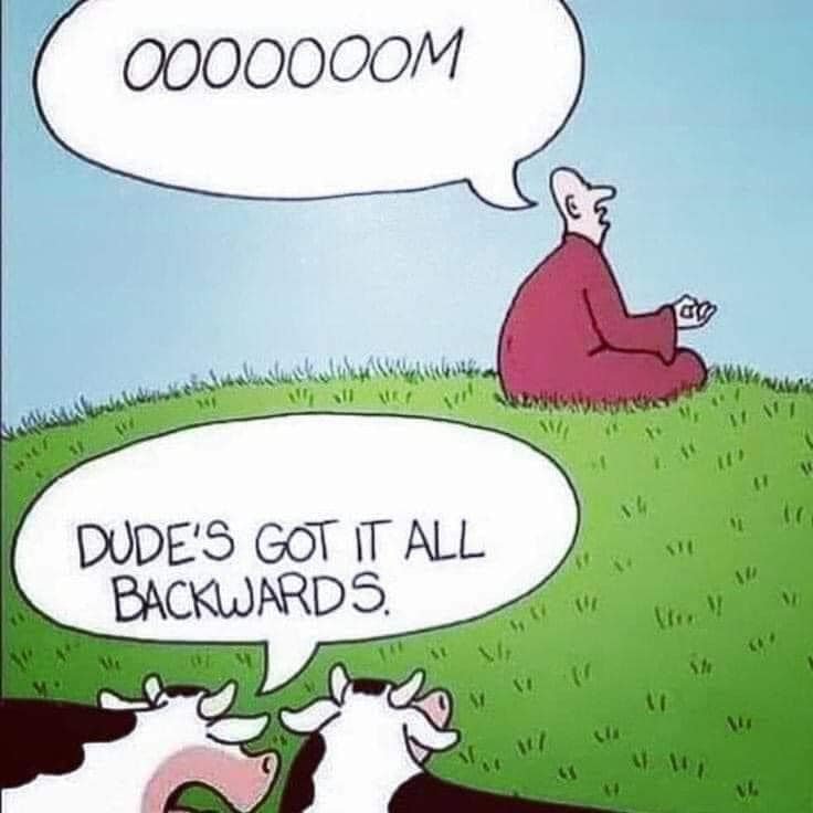 Solve backwards??? jigsaw puzzle online with 25 pieces