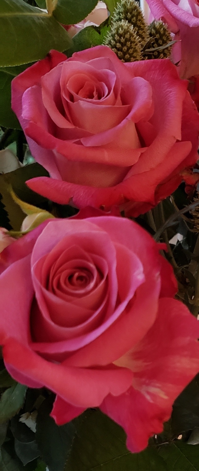 Jigsaw Puzzle | 36 pieces | Red Roses | Jigidi