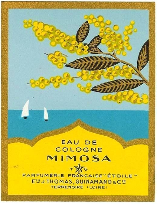 Solve Mimosa Cologne Ad jigsaw puzzle online with 99 pieces