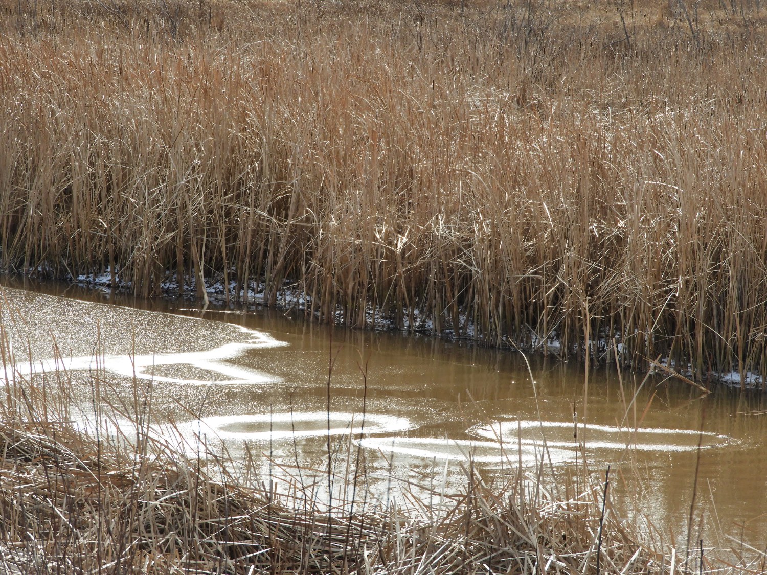 Solve Ice circles jigsaw puzzle online with 20 pieces