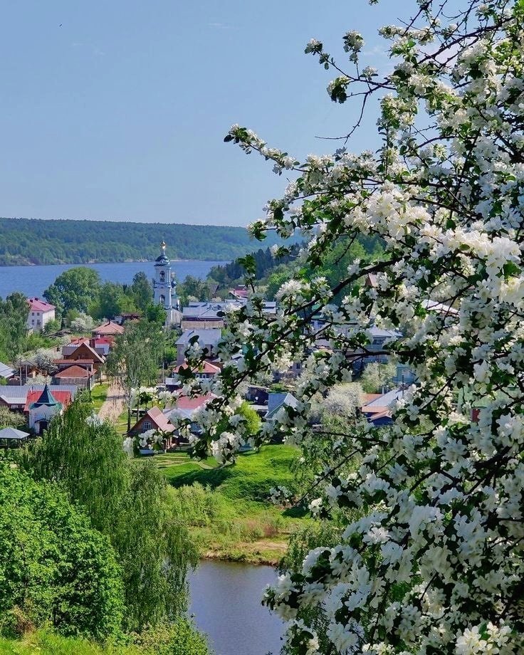 Solve Kvetoucí strom jigsaw puzzle online with 63 pieces