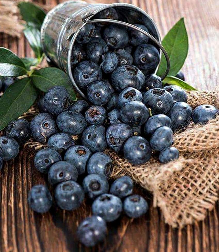 Solve Blueberry jigsaw puzzle online with 90 pieces