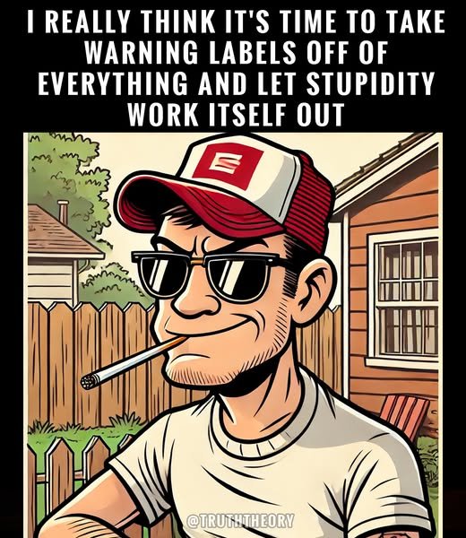 Solve stupid jigsaw puzzle online with 72 pieces