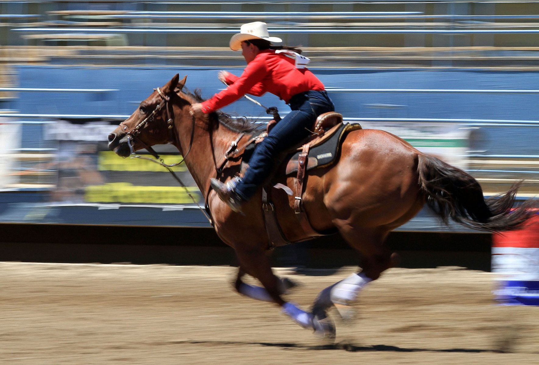 Solve BARREL RACING jigsaw puzzle online with 54 pieces