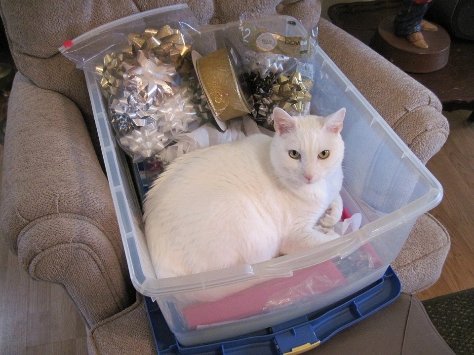 Jigsaw Puzzle | 35 pieces | Bygone Christmas' | Jigidi