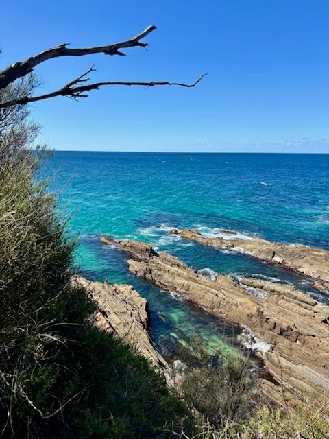 Solve Potato Point 19 Mar 2025 jigsaw puzzle online with 80 pieces