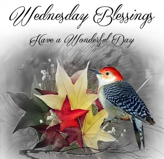 Solve Good Morning - Wednesday Blessings! jigsaw puzzle online with 64 ...