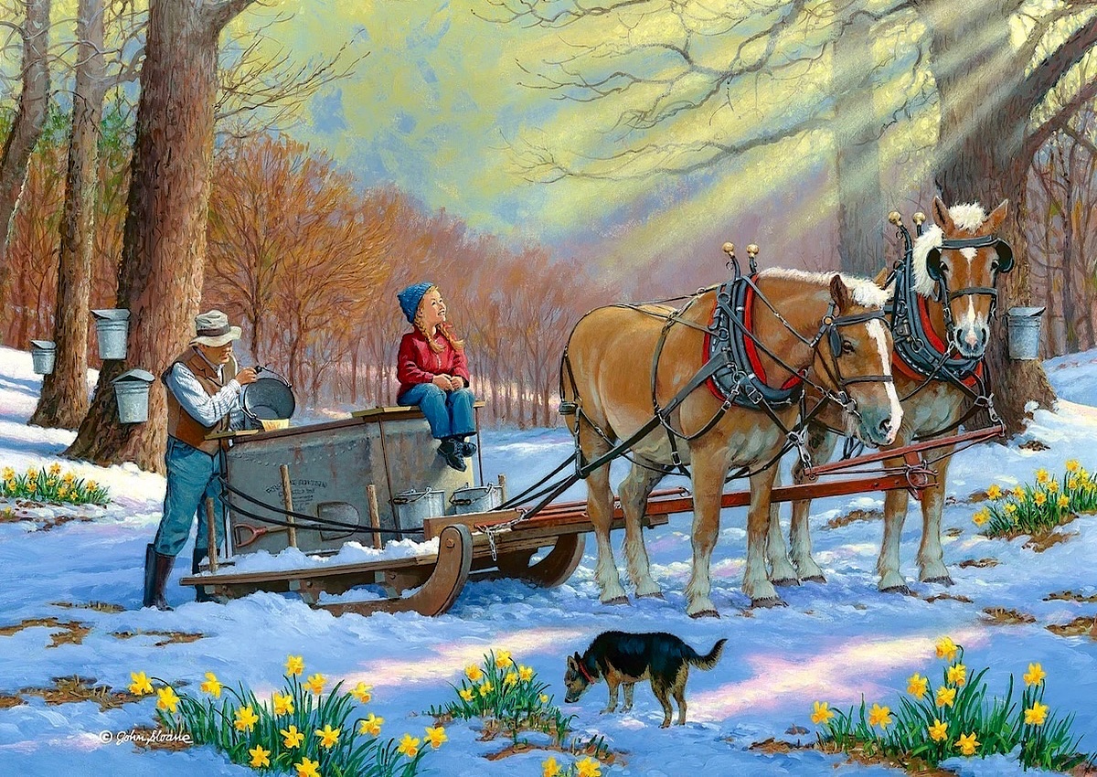 Solve Gathering The Maple Syrup jigsaw puzzle online with 165 pieces