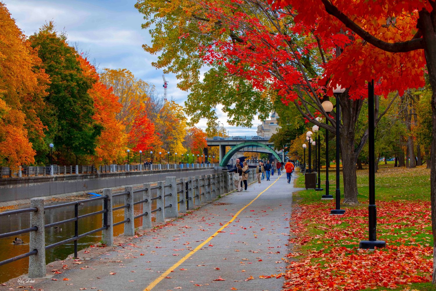 Solve Rideau Canal 2 - October 2025 - Copied from Internet jigsaw ...