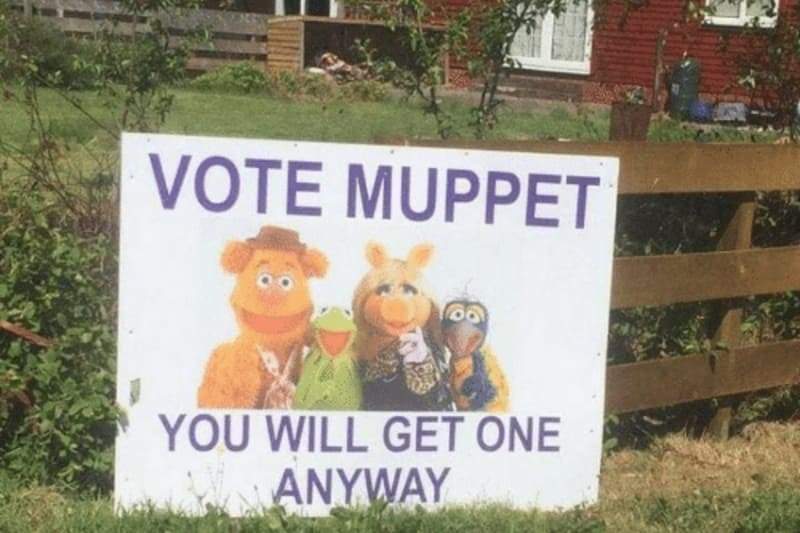 Solve Vote Muppet jigsaw puzzle online with 12 pieces