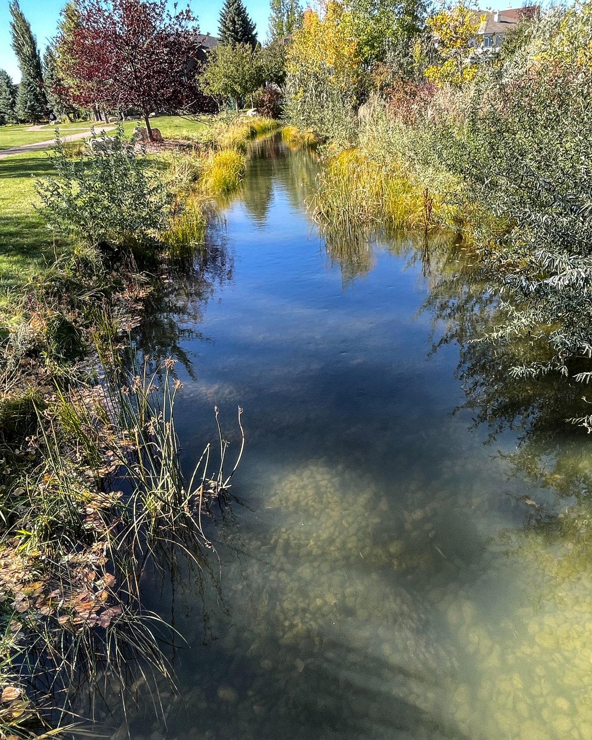 Solve Riverstone Pond 001 jigsaw puzzle online with 63 pieces