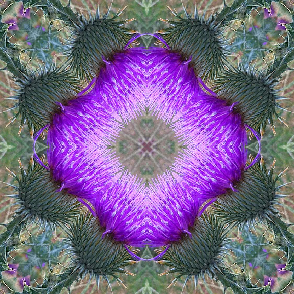 Solve #2 small jigsaw puzzle online with 64 pieces