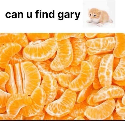 Solve Can you find Gary? Just say YES. Don't give answer!!! jigsaw ...
