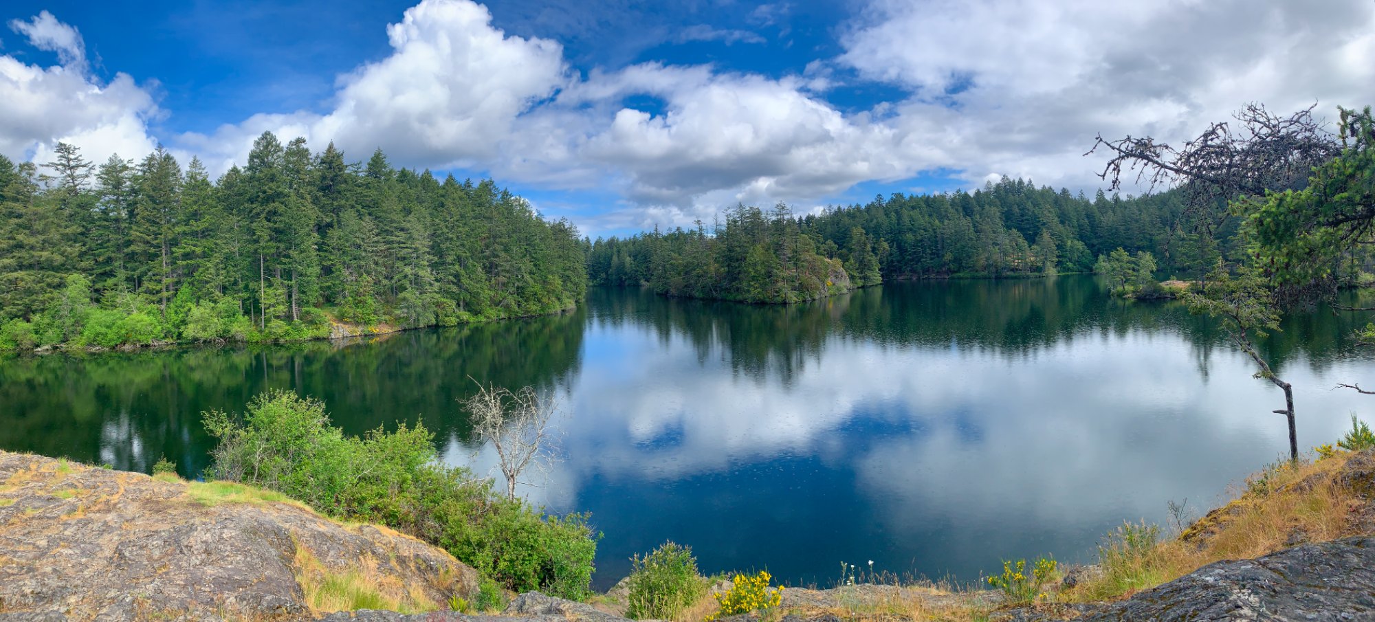 Solve Beautiful Thetis Lake near Victoria BC jigsaw puzzle online with ...