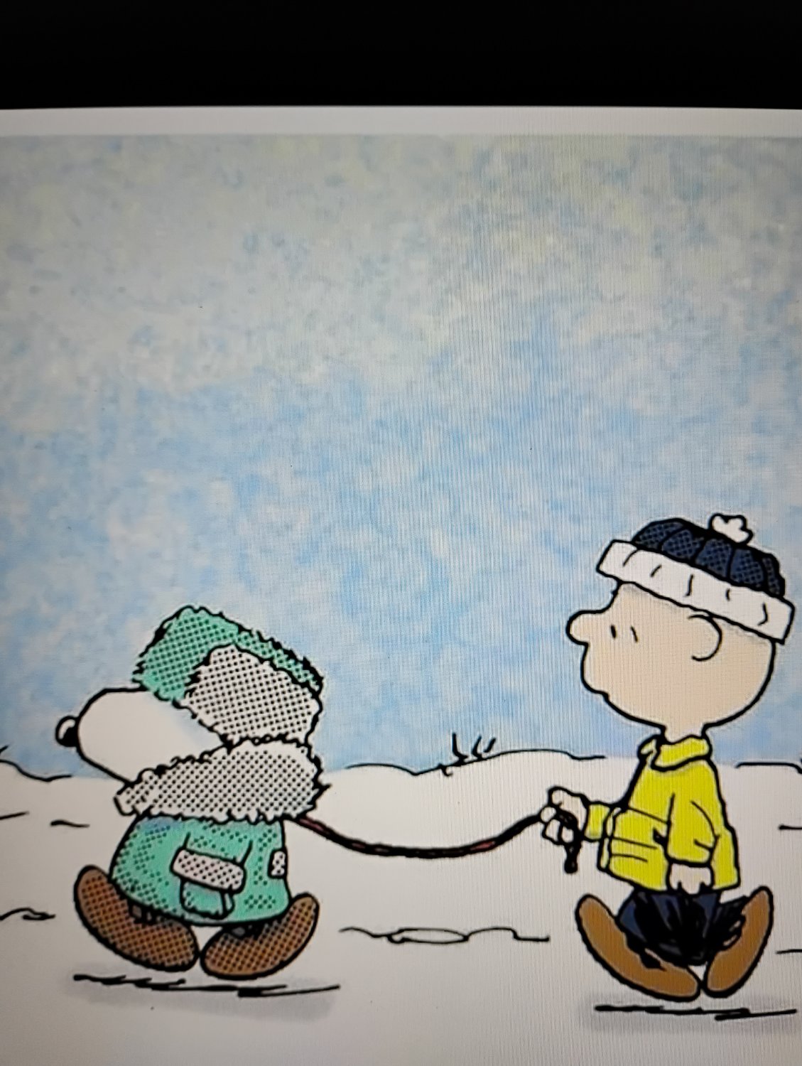 Solve Snoopy and Charlie Brown jigsaw puzzle online with 63 pieces
