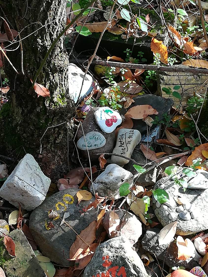 Solve Stones jigsaw puzzle online with 48 pieces