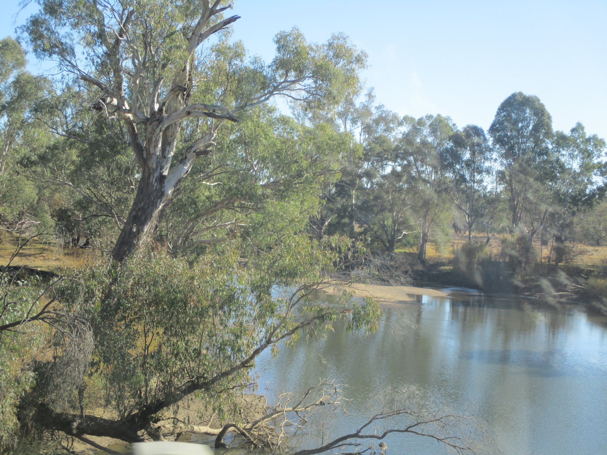 Solve Murray River at Howlong jigsaw puzzle online with 176 pieces