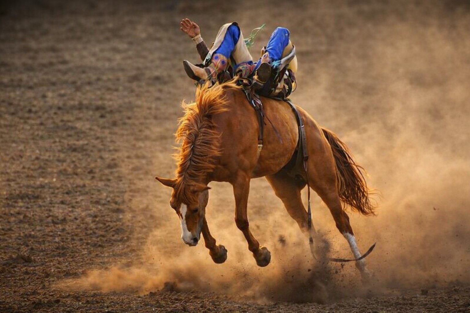 Solve Maclean Rodeo jigsaw puzzle online with 70 pieces